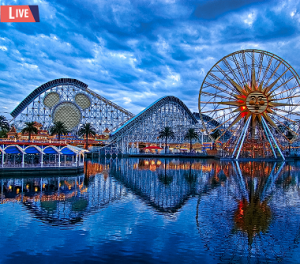 The Bizz Awards | One World One Award